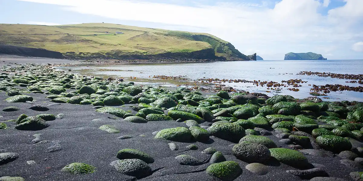 טיול מאורגן לאיסלנד | טיולים מאורגנים לאיסלנד